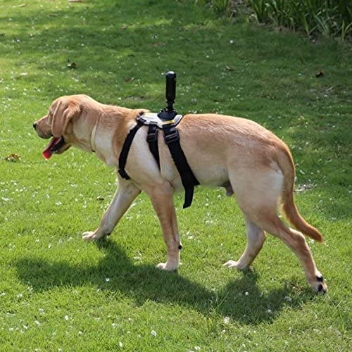 Insta360 Pet Bundle - Airytek